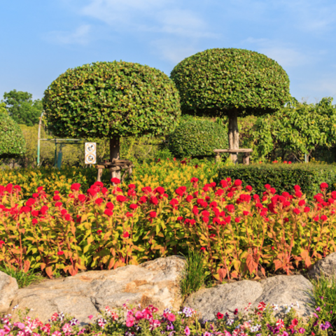 Landscaping Services & Contractors | Landscaping Company